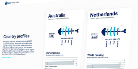 The BCSSS proudly presents the first Special Award for ‘Action on ...